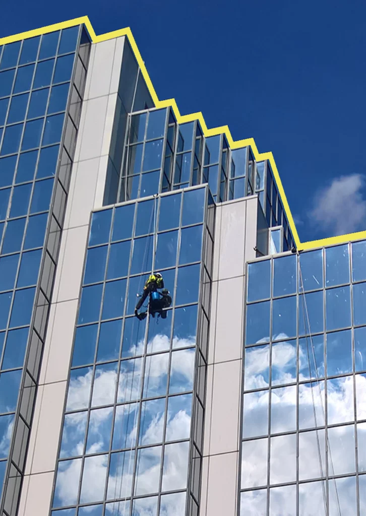 insubordinate business identity design • misch_MISCH studio